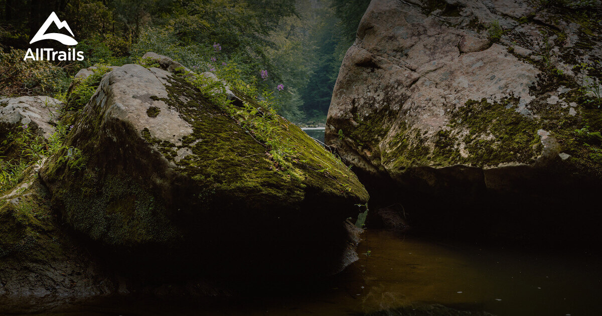 Dispersed Camping Spots | List | AllTrails