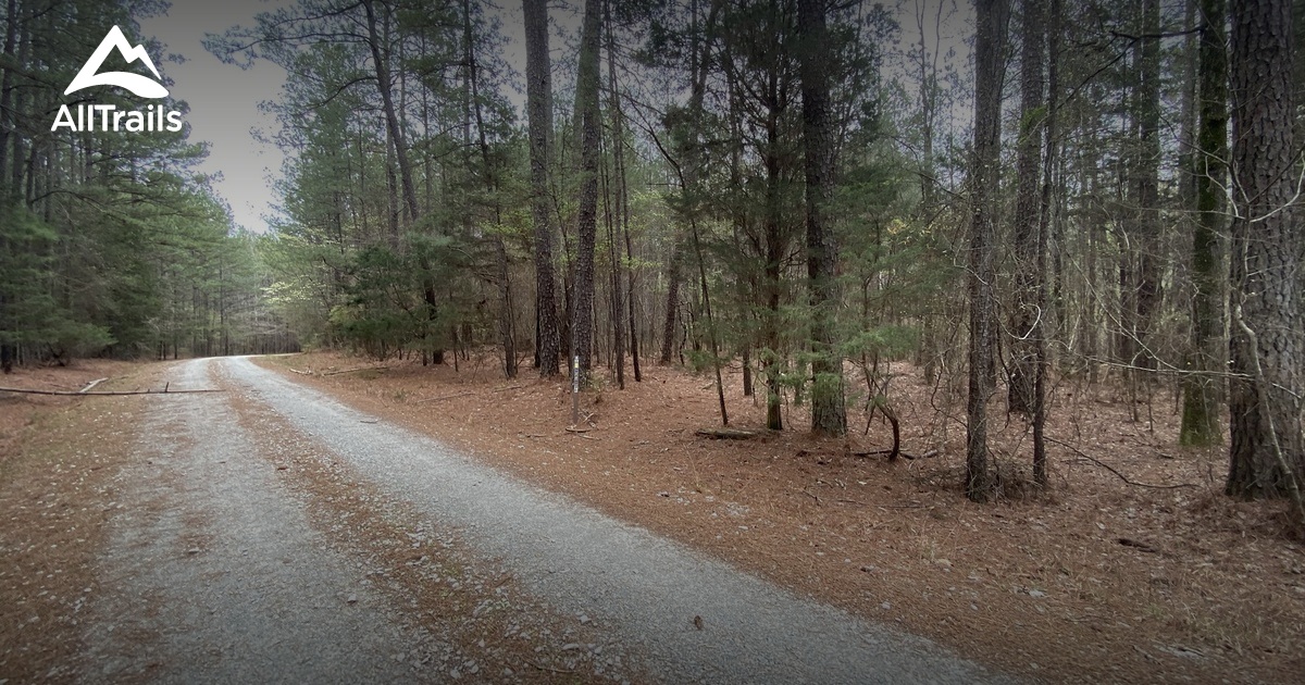 Enoree passage palmetto trail | List | AllTrails