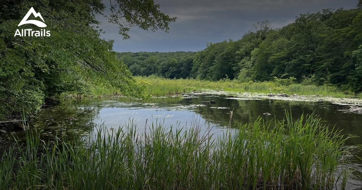 Liffy island | List | AllTrails