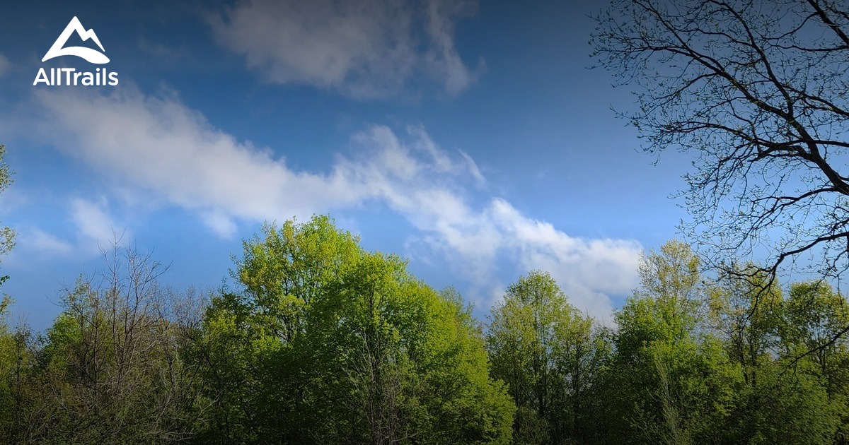 5+ miles Day Hikes | List | AllTrails