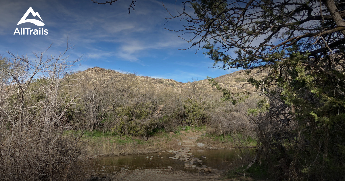 saquaro national park | List | AllTrails