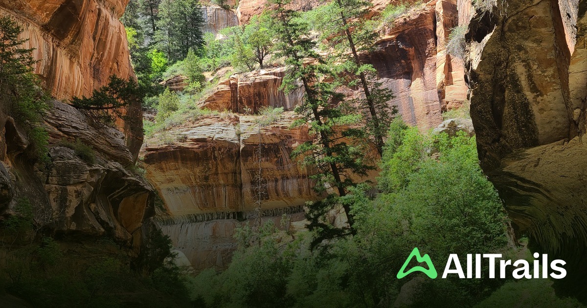Subway Permits | List | AllTrails