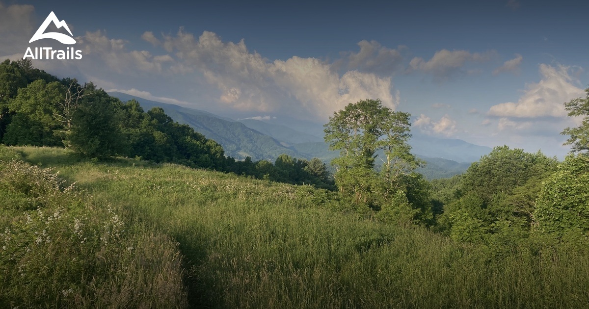 Backpacking Cherokee National Forest | List | AllTrails