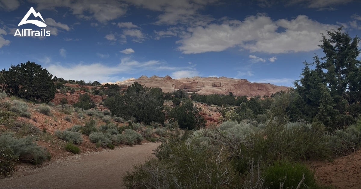 robin trip | List | AllTrails