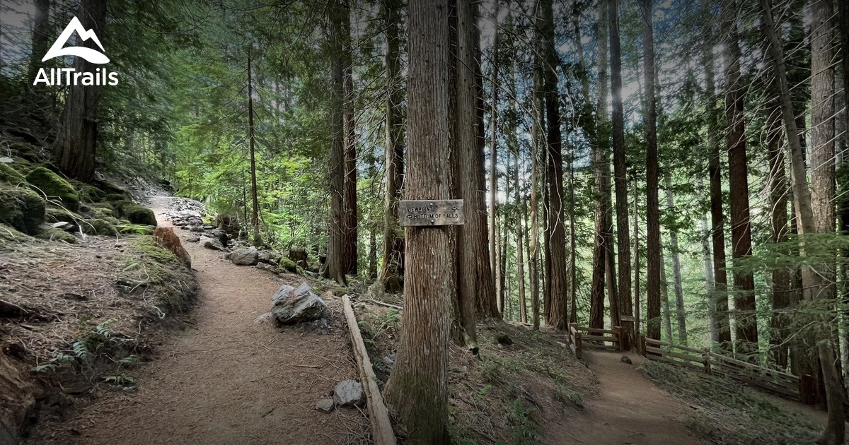 Lower Lewis River Falls Campground | List | AllTrails