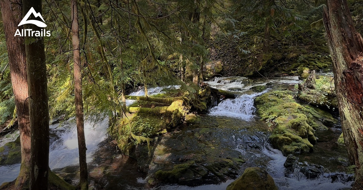 Lower Lewis River Falls Campground | List | AllTrails