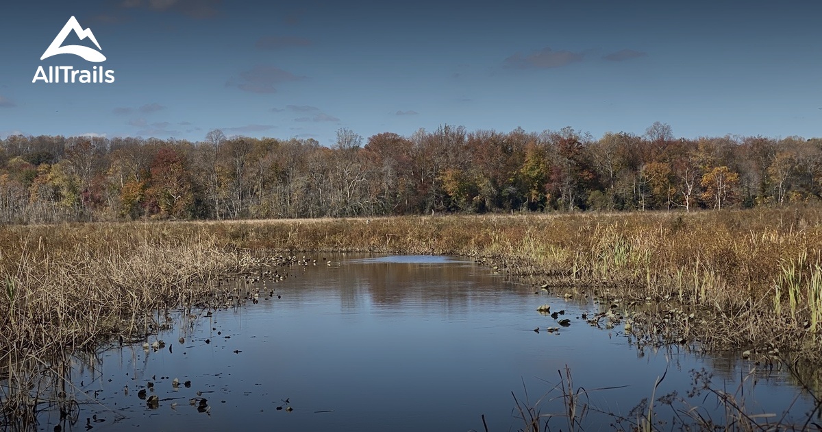 Jug Bay Trails | List | AllTrails