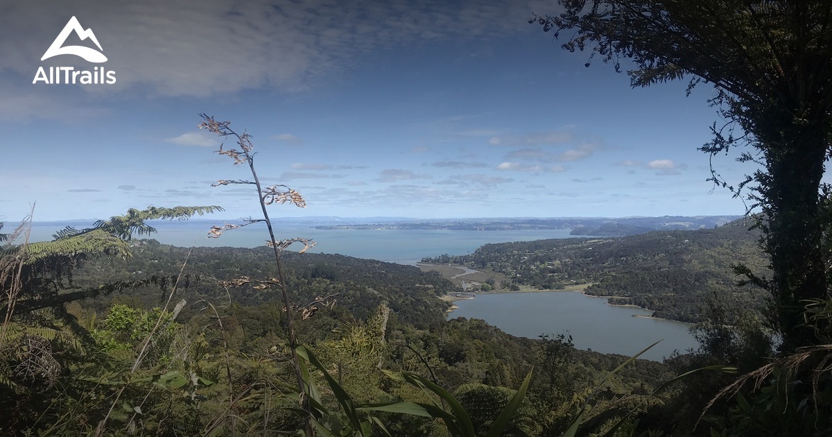 Waitakere ranges | List | AllTrails