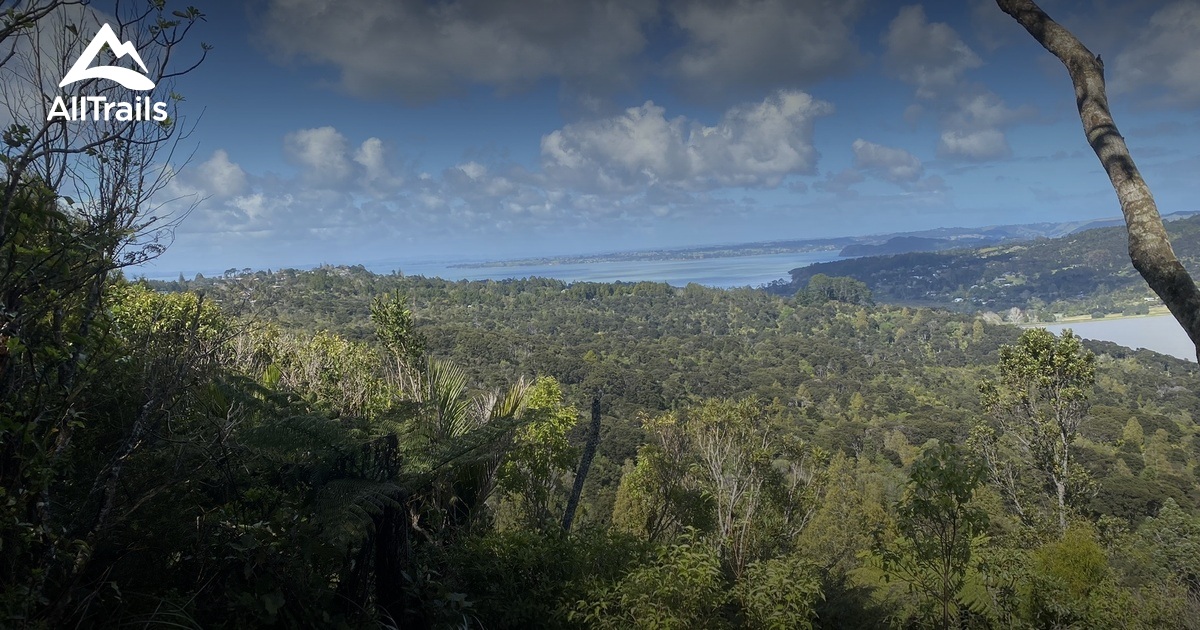 Waitakere ranges | List | AllTrails