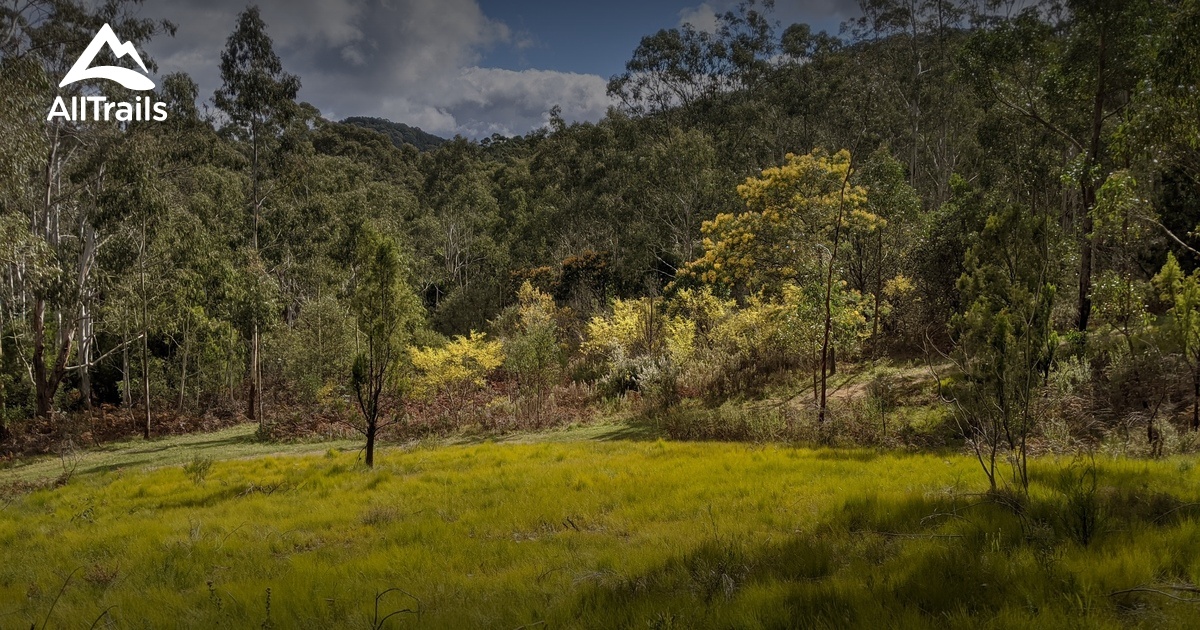 Mt George | List | AllTrails