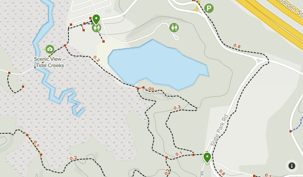 Stump Trail | List | AllTrails