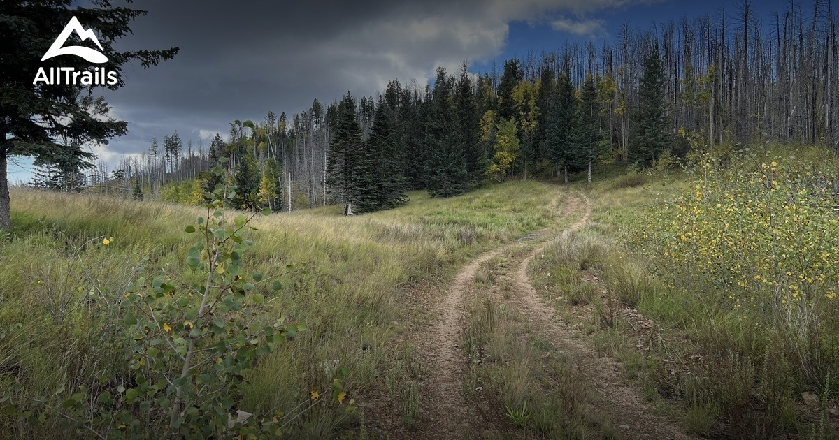 Mt Graham Arizona | List | AllTrails