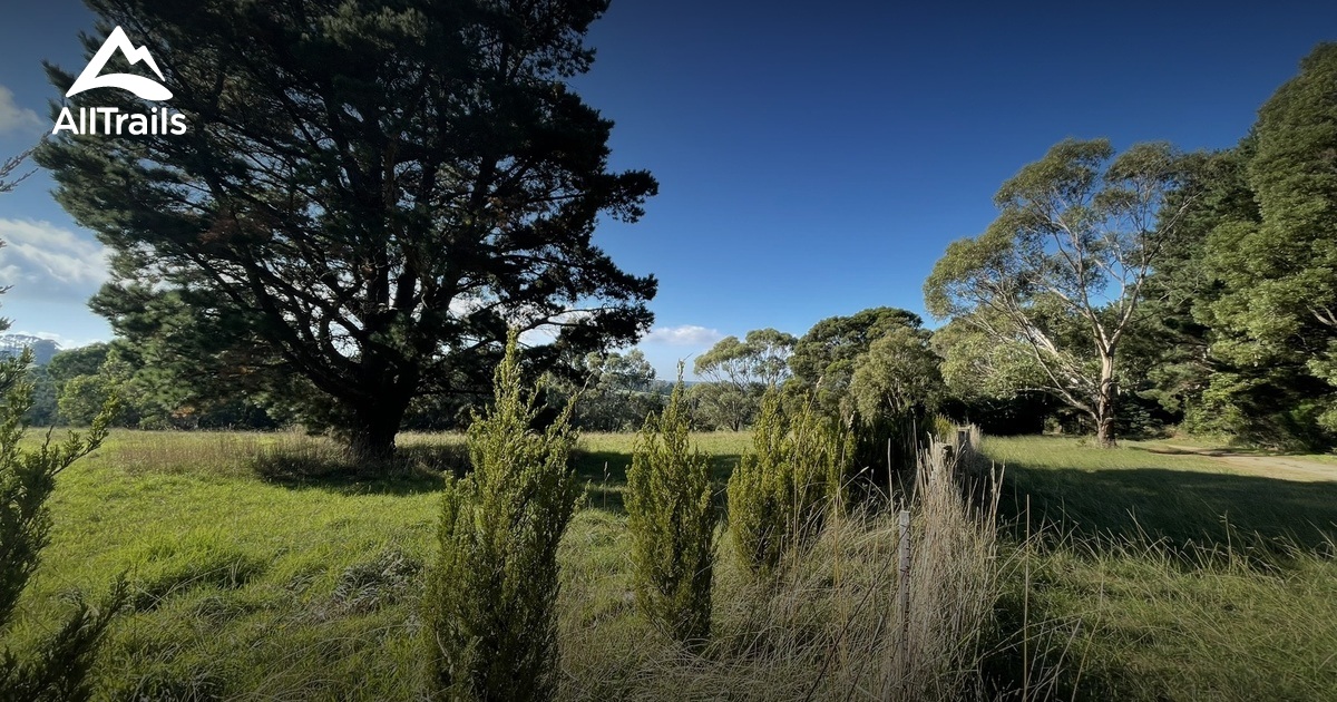 Walking Victoria | List | AllTrails