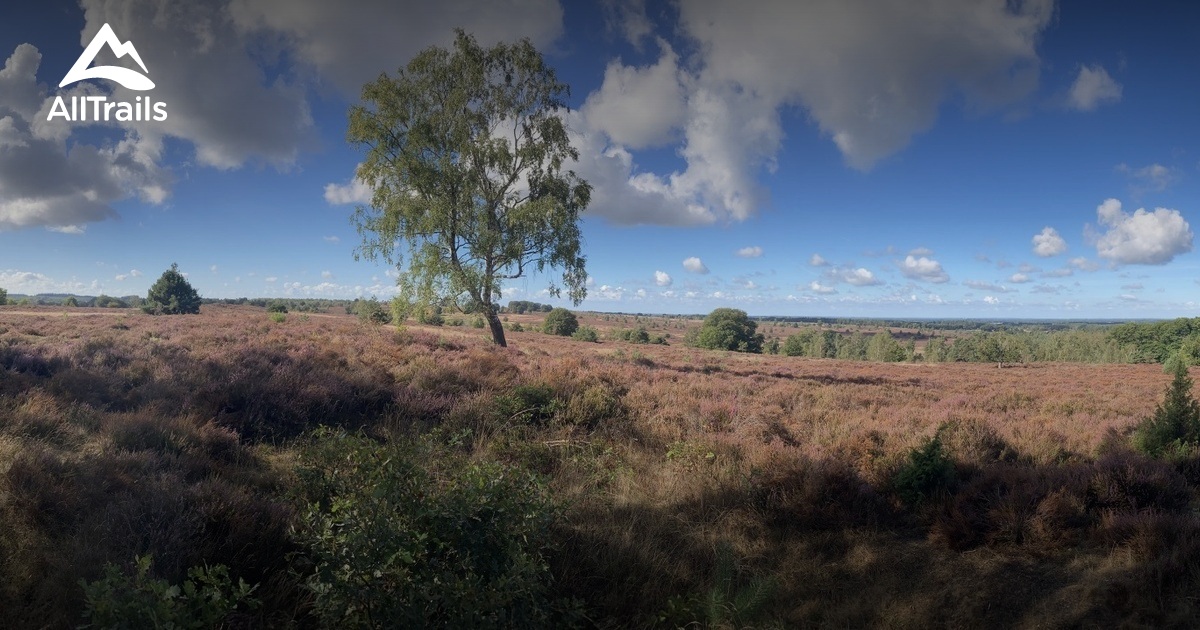 Pieterpad etappes | List | AllTrails