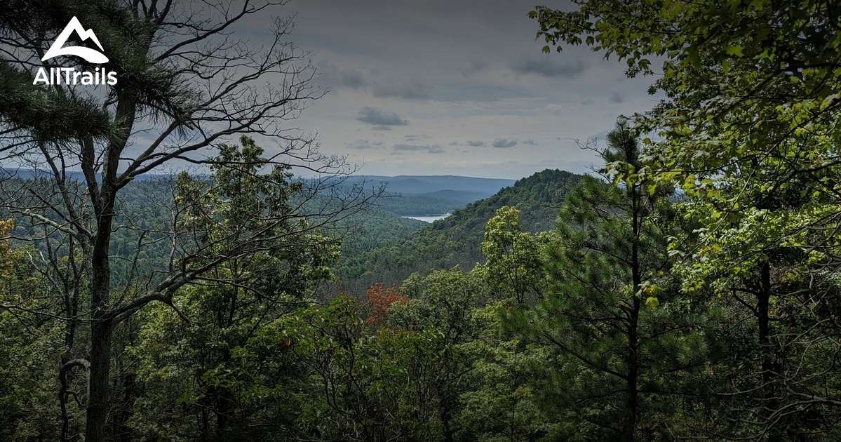 Boyd and Mom May 2021 - Michaux State Forest | List | AllTrails