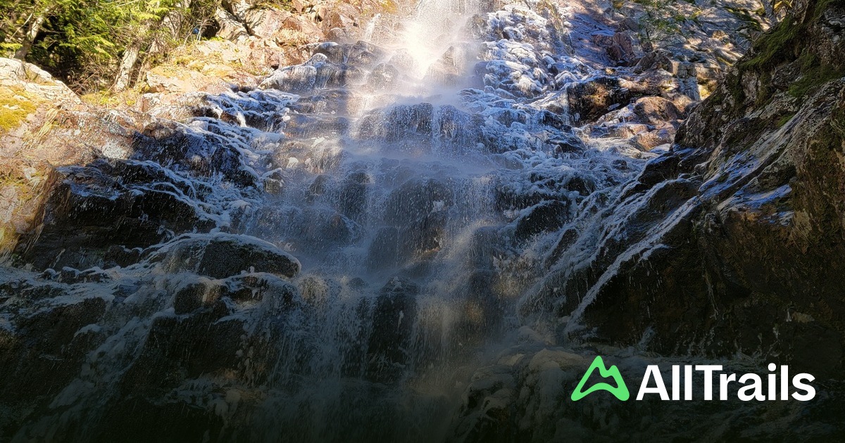 Short Moderate Hikes | List | AllTrails