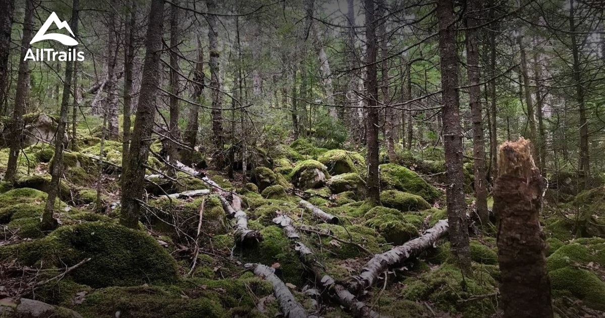 the Bluff | List | AllTrails