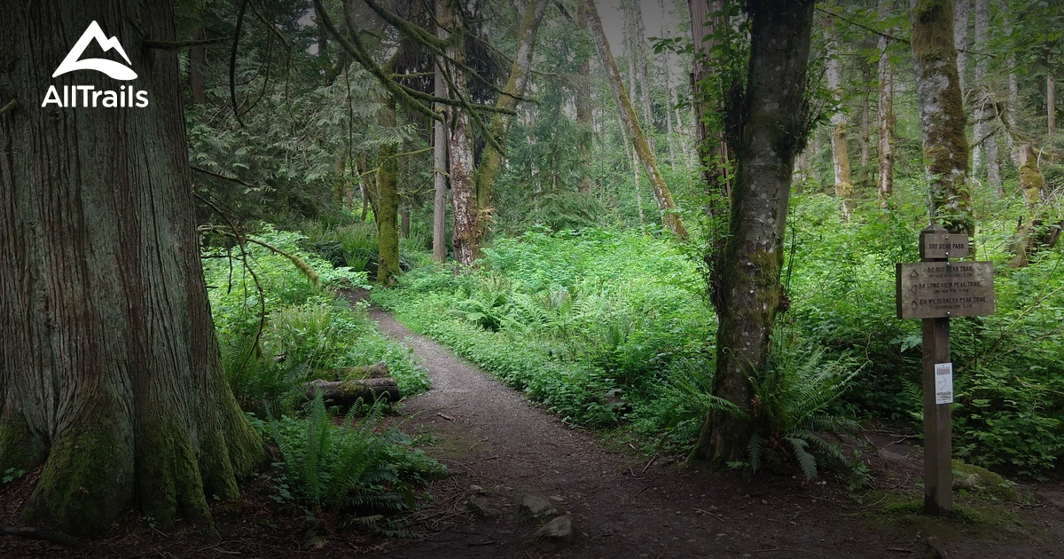 Easy Seattle hikes | List | AllTrails