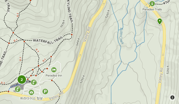 Mt Rainier | List | AllTrails