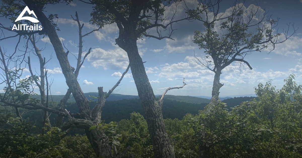 Middleburg Hike | List | AllTrails