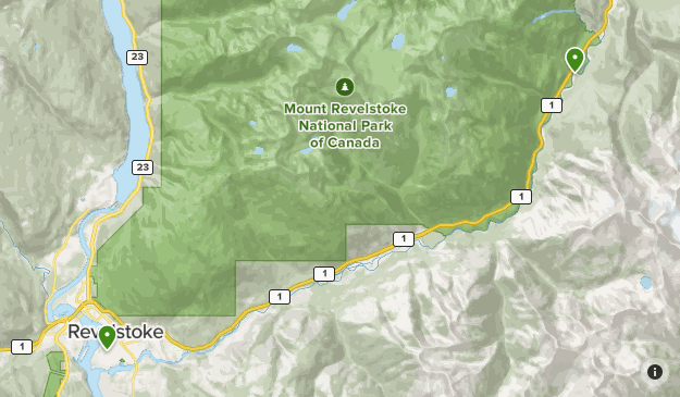 Mount Revelstoke National Park | List | AllTrails