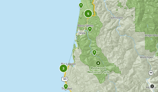 Redwoods trip | List | AllTrails