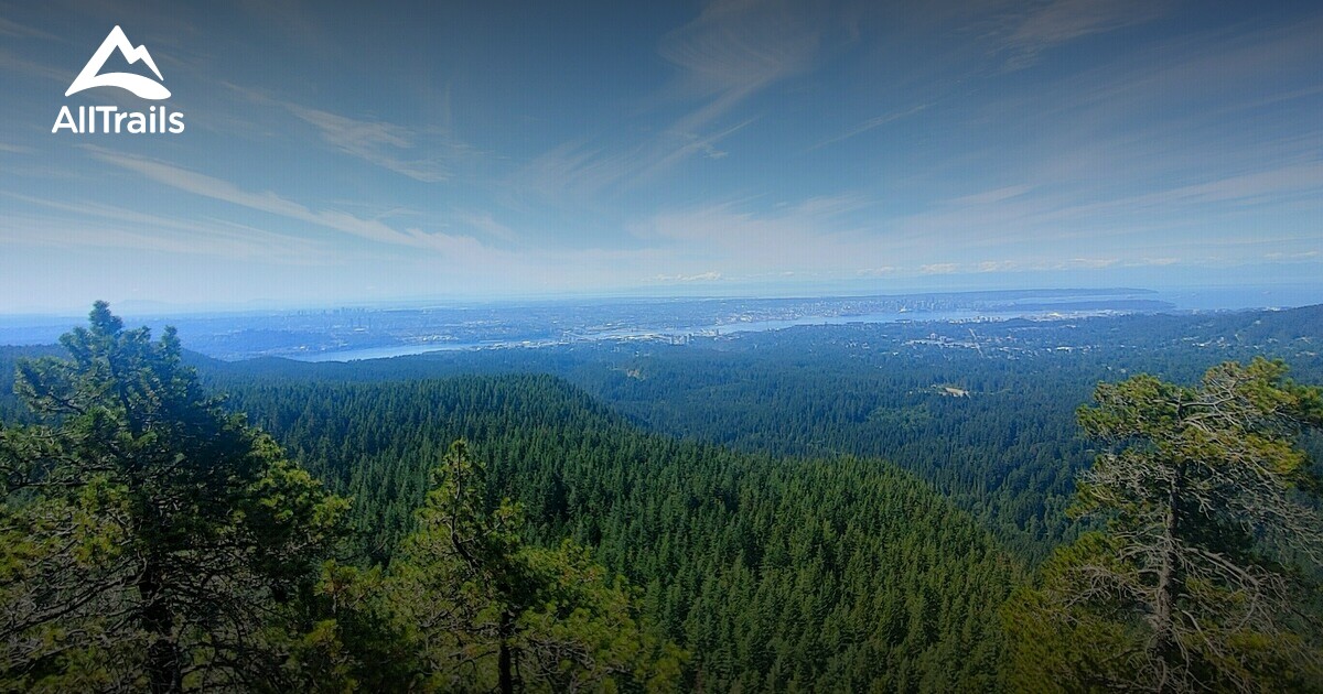 Foraging Trails | List | AllTrails