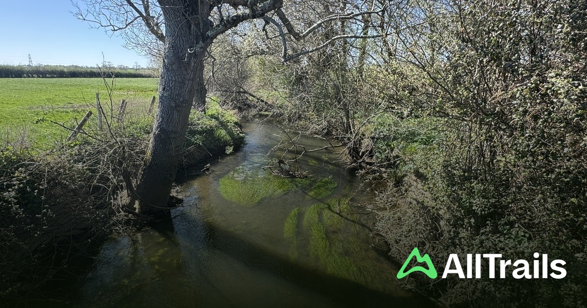 Wickham & Meon Valley | List | AllTrails
