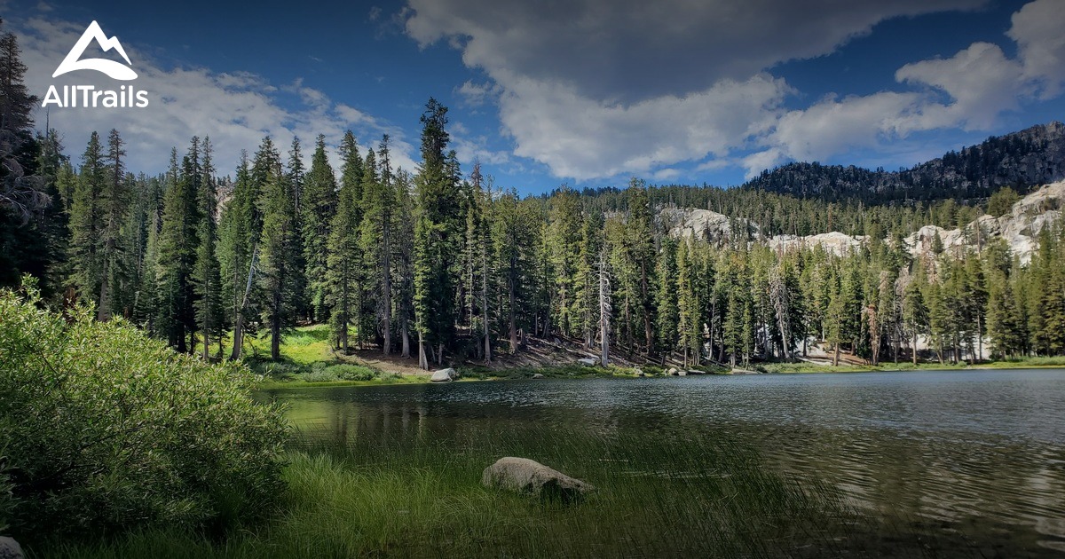 ward lake area | List | AllTrails