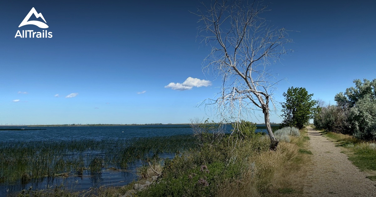 Kinbrook Lake | List | AllTrails