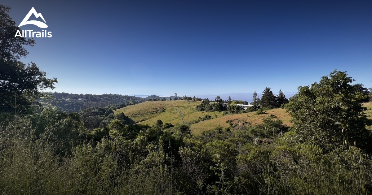 Local hikes | List | AllTrails