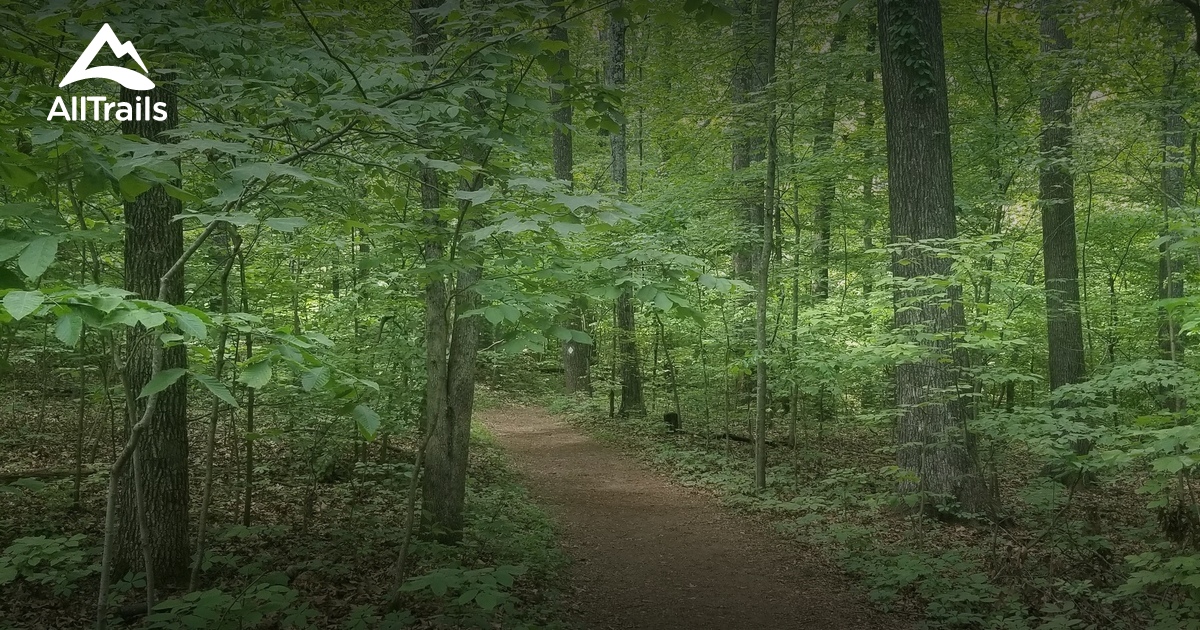 Hoosier Forest | List | AllTrails