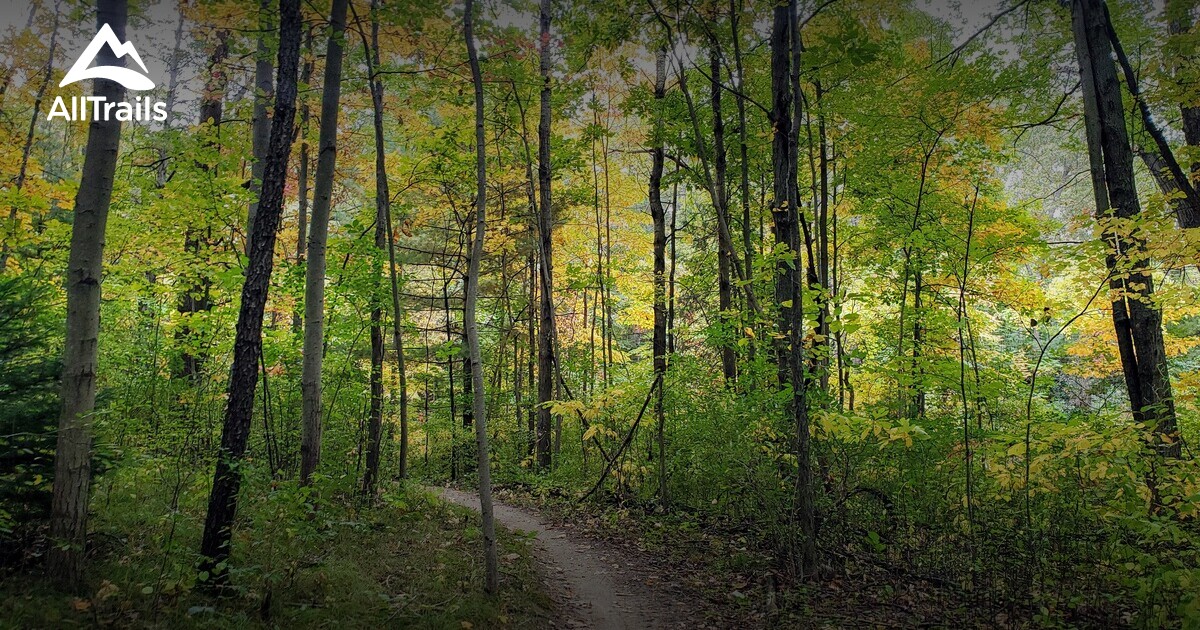 The RC Gang | List | AllTrails