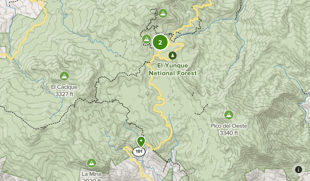 El Yunque National Rainforest | List | AllTrails