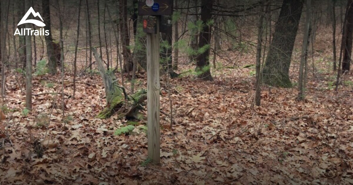 Strive for Five 2021 Lite | List | AllTrails