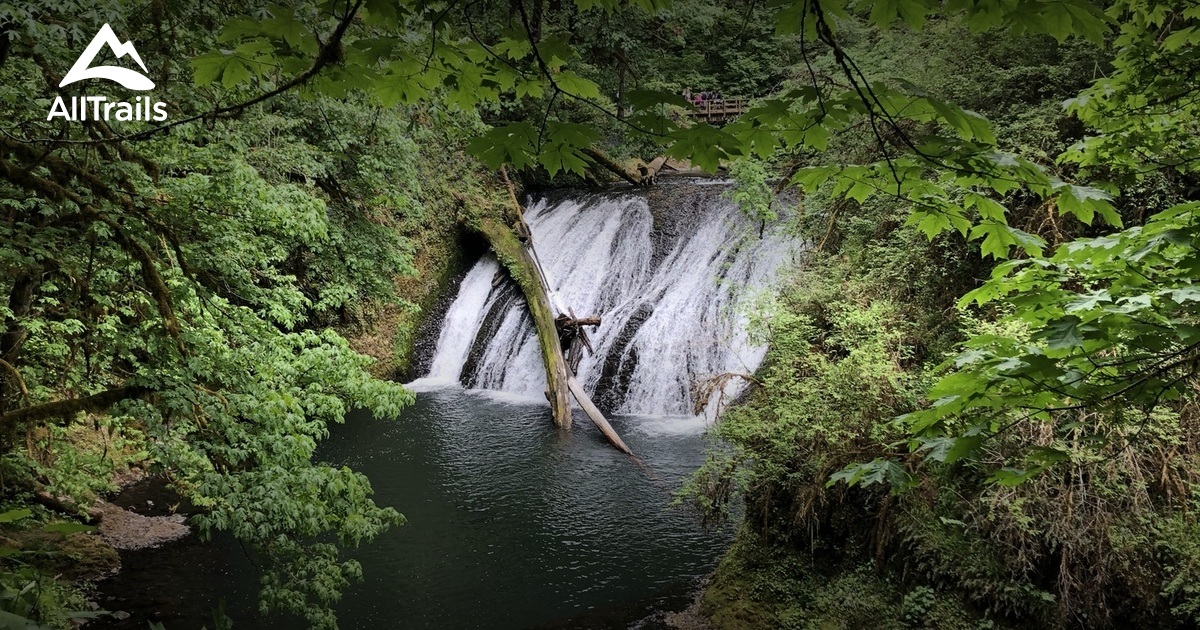 Portland - Silver Falls | List | AllTrails