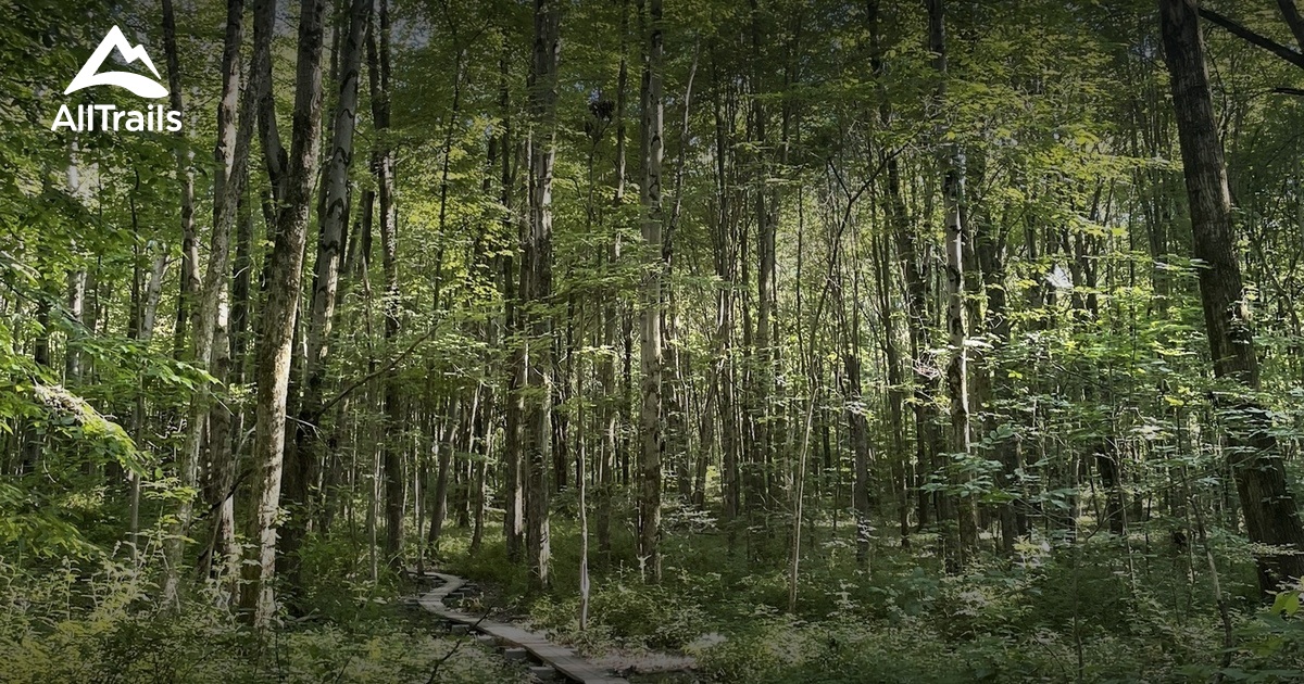 Nelson-Kennedy Ledges State Park | List | AllTrails