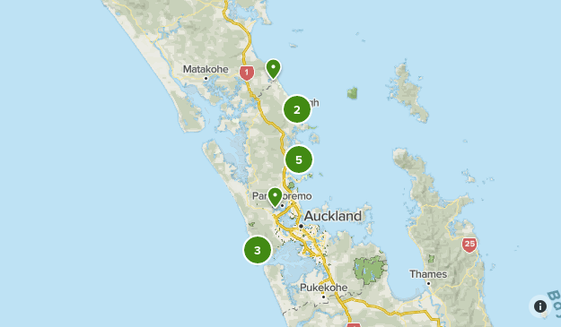 Auckland | List | AllTrails