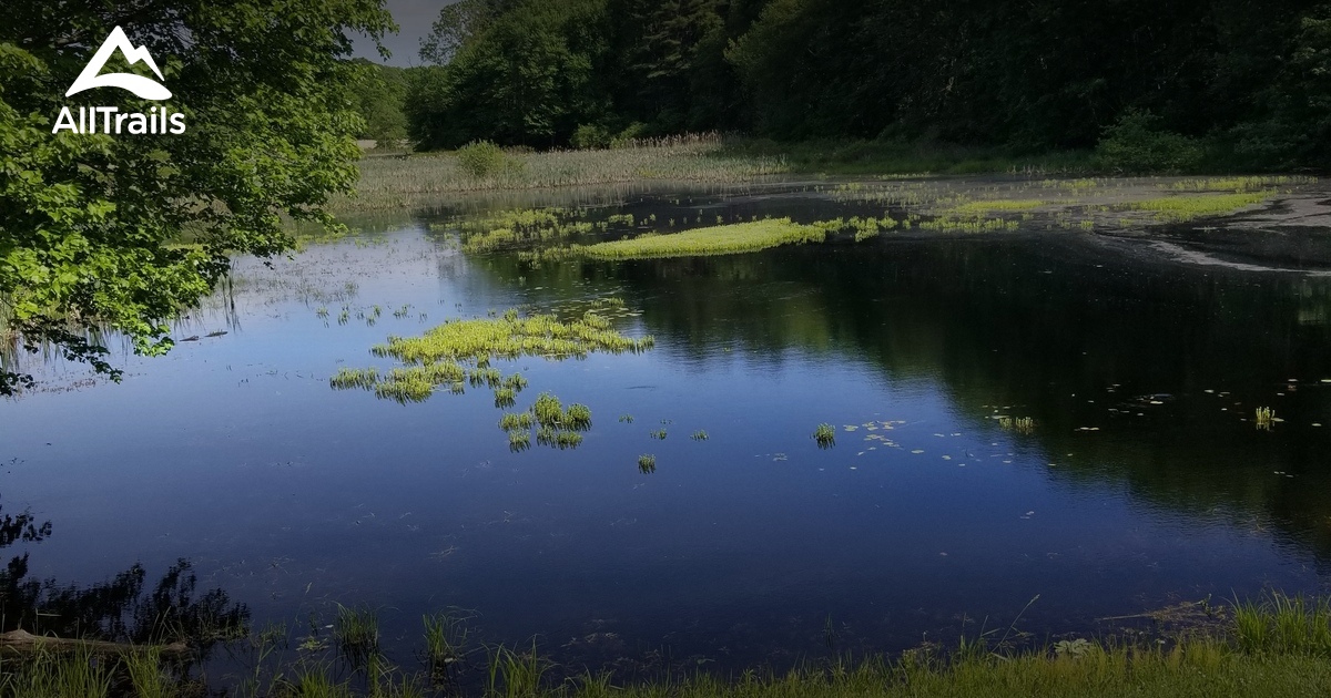 Pachaug trail | List | AllTrails