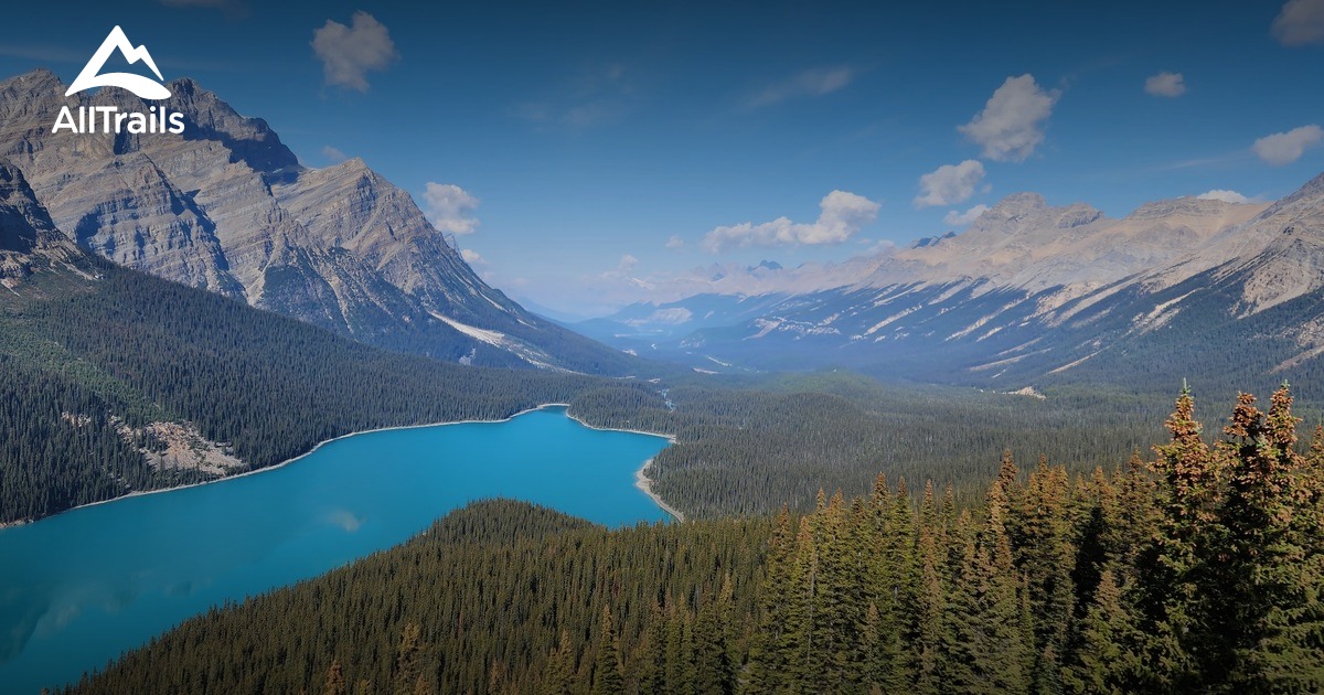 Icefield Parkway Hikes | List | AllTrails