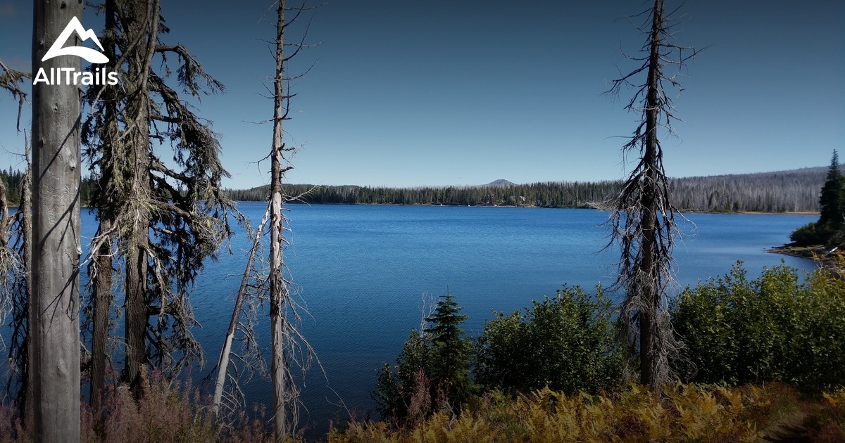 Black Butte-Deschutes Forest+ | List | AllTrails