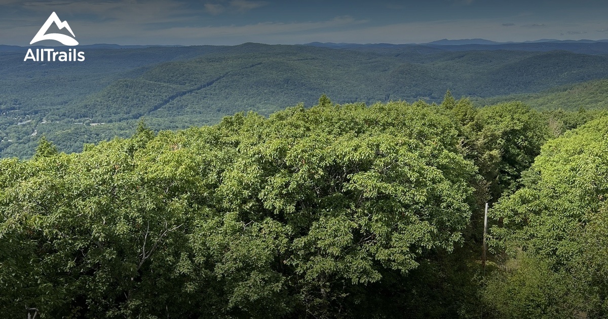 Catamount state forest | List | AllTrails
