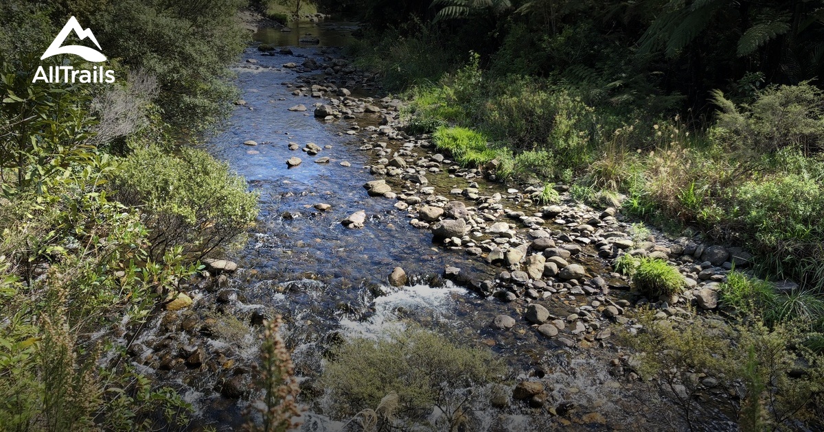 Coromandel Forest Park | List | AllTrails
