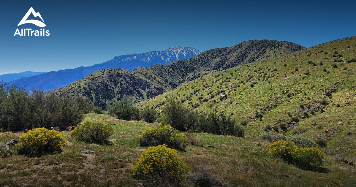 Palm dogs | List | AllTrails