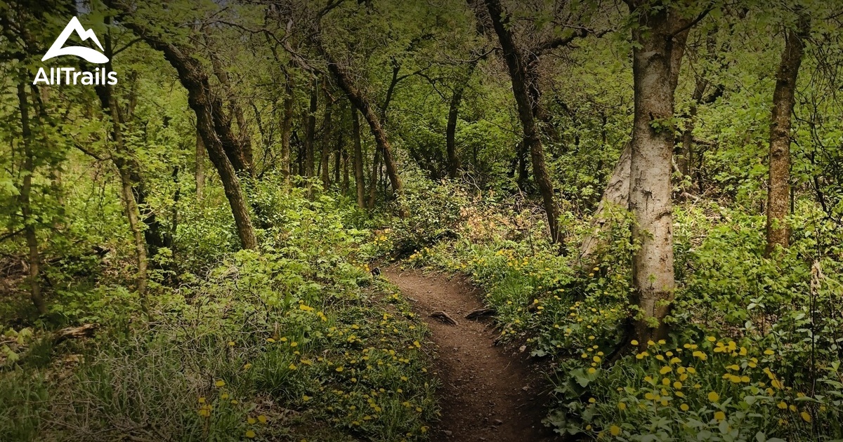 Hikes on Vacation to MT | List | AllTrails