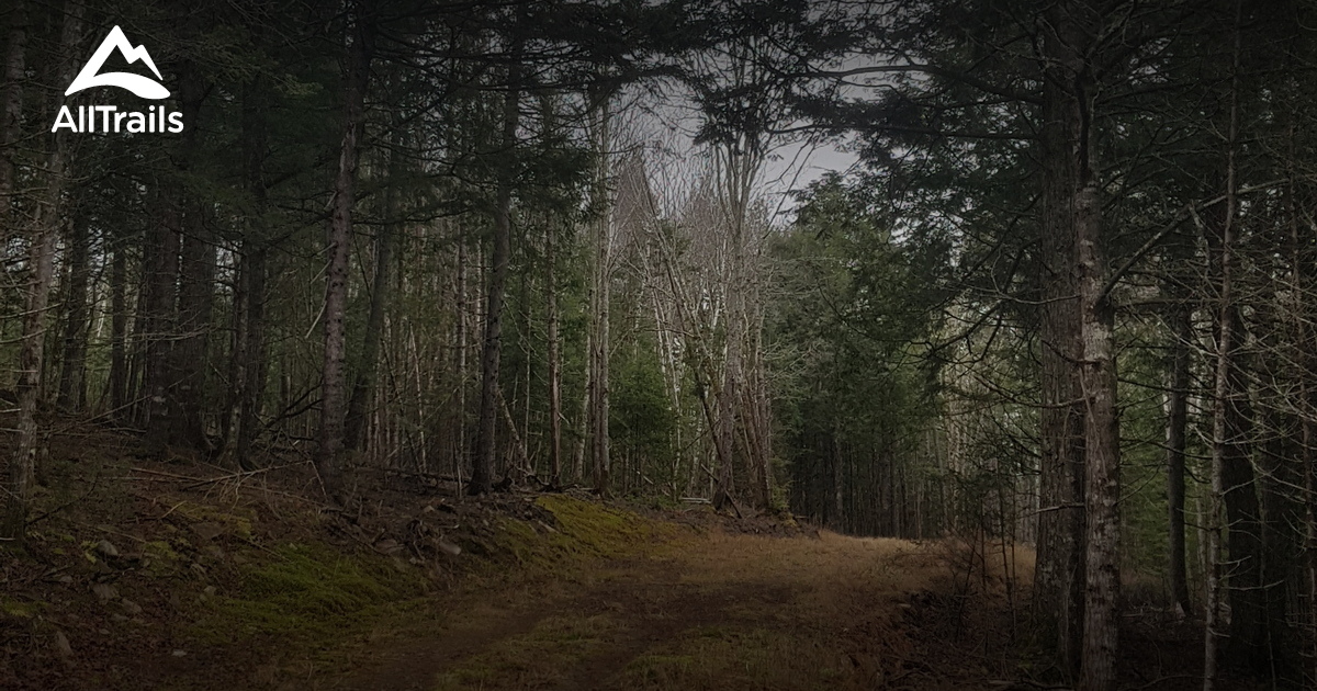 Killarney Lake trails | List | AllTrails