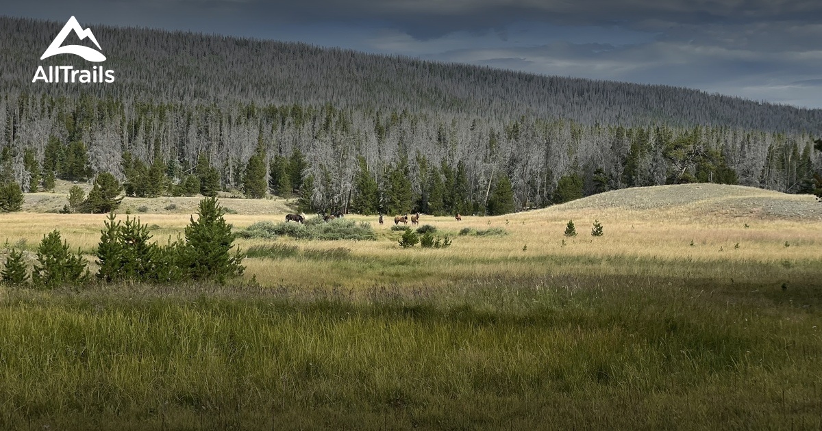 Uintah Trips | List | AllTrails