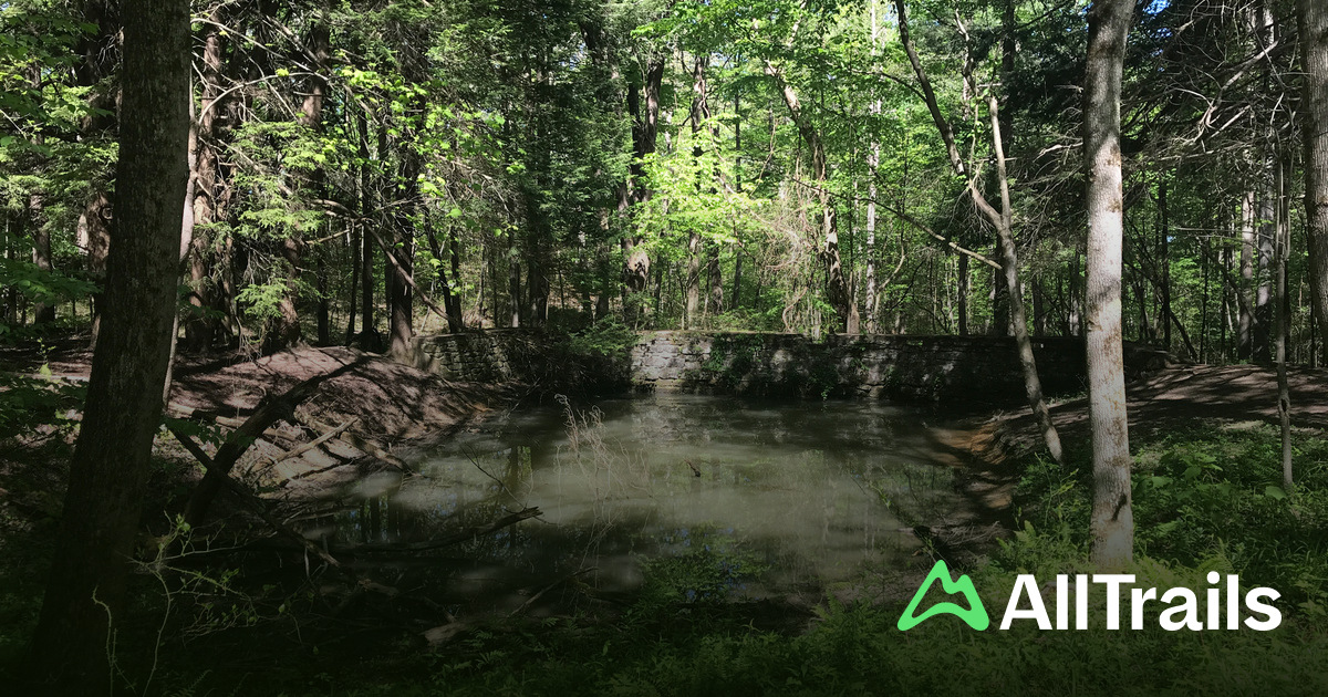 Snake Hill | List | AllTrails