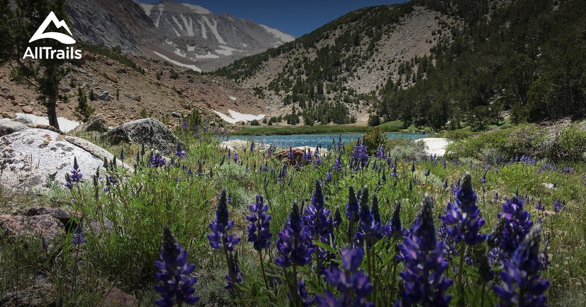 1 - Russell 2021 trip | List | AllTrails