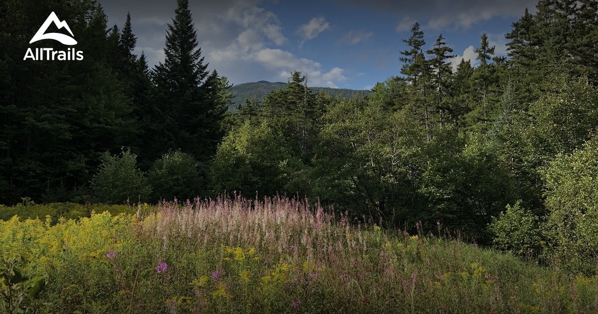 Upta Camp | List | AllTrails